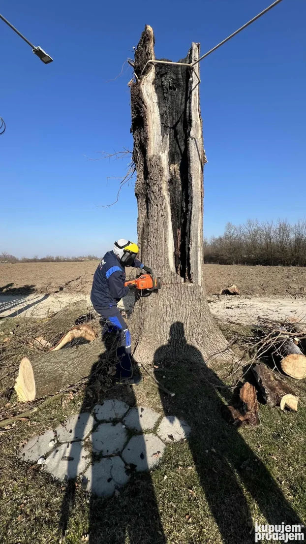 Seca i orezivanje stabala-drveca kamion korpa - KupujemProdajem