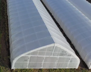 Plastenik - Rezultati pretrage - KupujemProdajem