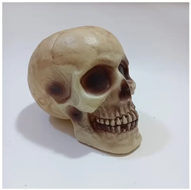 Lobanja Kostur Skull Dekoracija Noć Veštica Halloween M3 - KupujemProdajem
