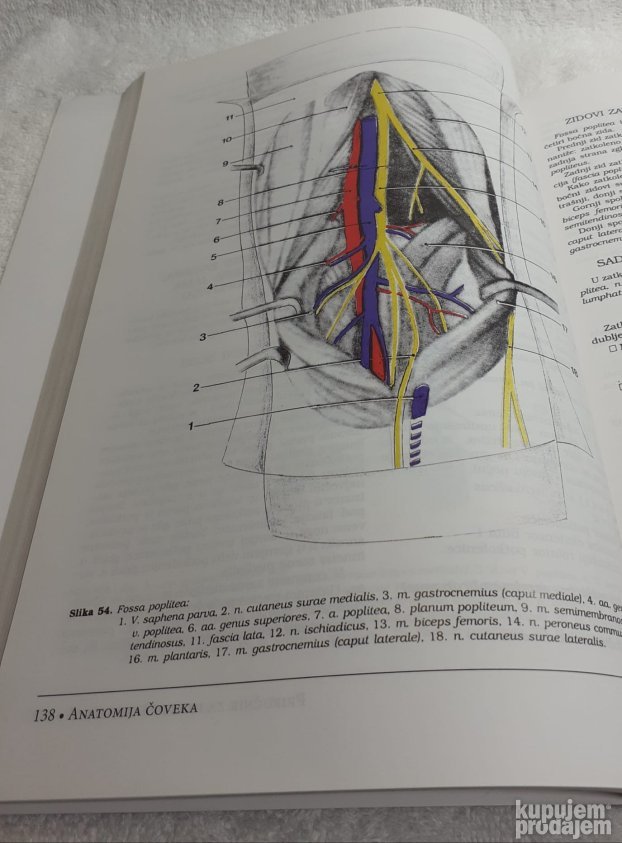 Anatomija čoveka : priručnik za praktičnu nastavu - KupujemProdajem