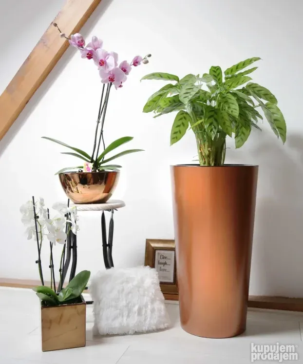 Mat plasticna saksija - KupujemProdajem