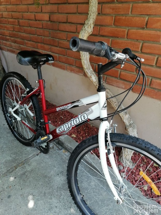 Bicikl Capriolo Passat zenski mtb bicikl 26 /18brz - KupujemProdajem