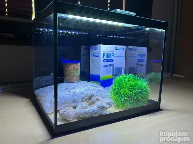 Akvarijum - KupujemProdajem