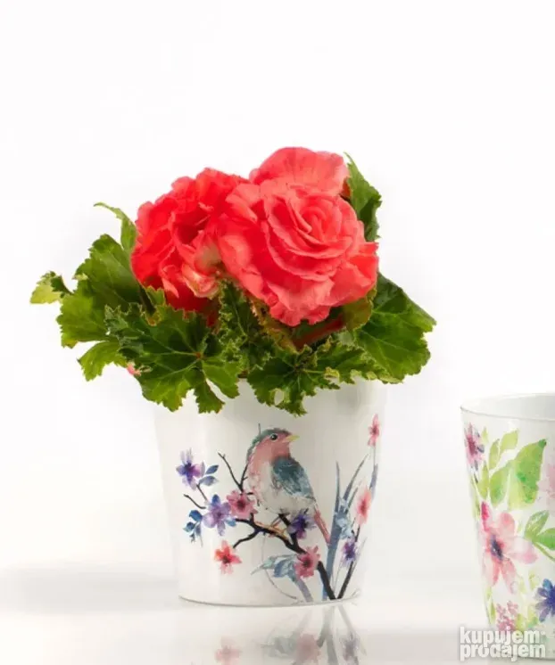 Sarene saksije - KupujemProdajem