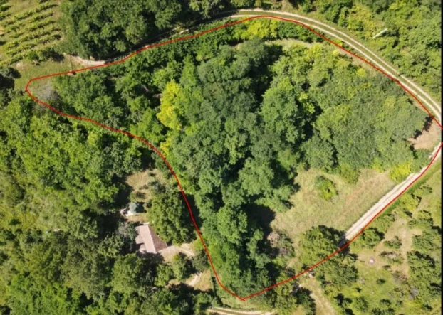 Fruška gora- POPOVICA plac 5000m Staroiriški put, na vrhu - KupujemProdajem