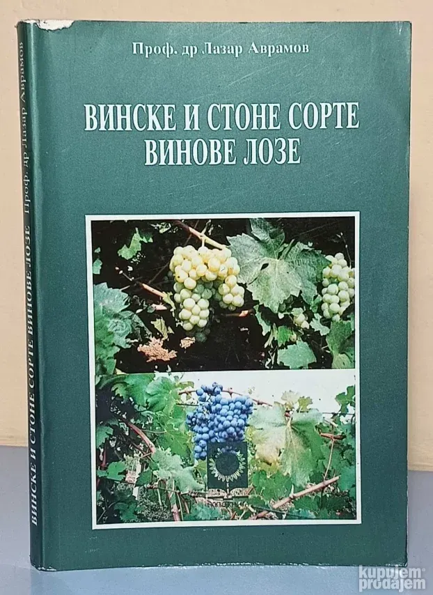 Vinske i stone sorte vinove loze Lazar Avramov - KupujemProdajem
