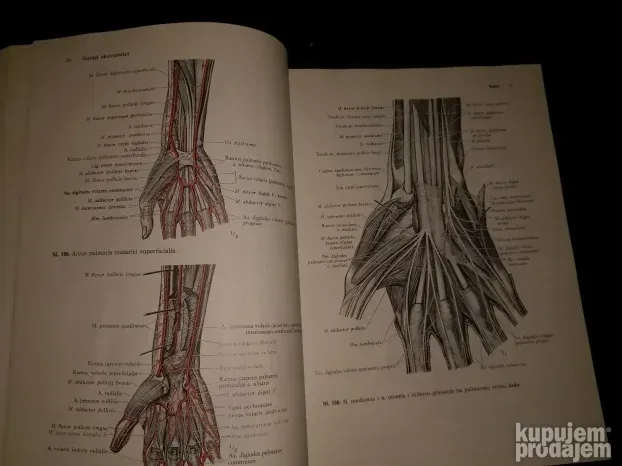 Anatomski atlas topografska i sistemska anatomija covjeka - KupujemProdajem