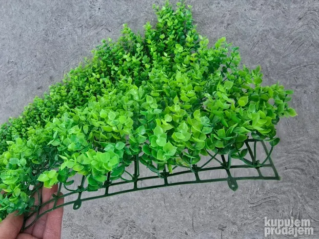 Zeleni zidovi vestacko zelenilo Eukaliptus paneli zeleni zid ...