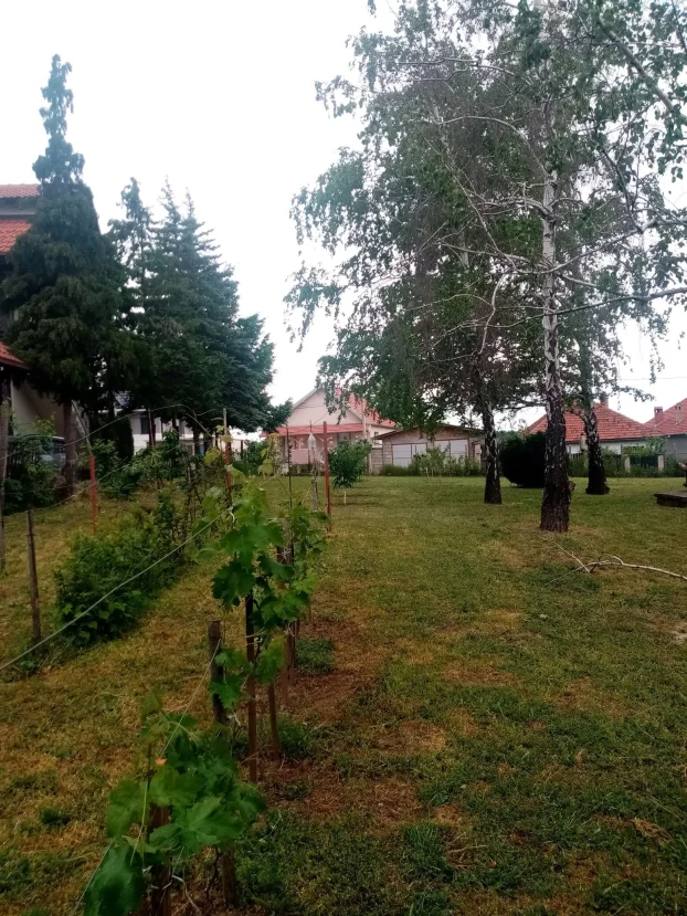 Plac 6 ari, Prelep, 2 km od centra, Leštar, Gradska lokacija ...