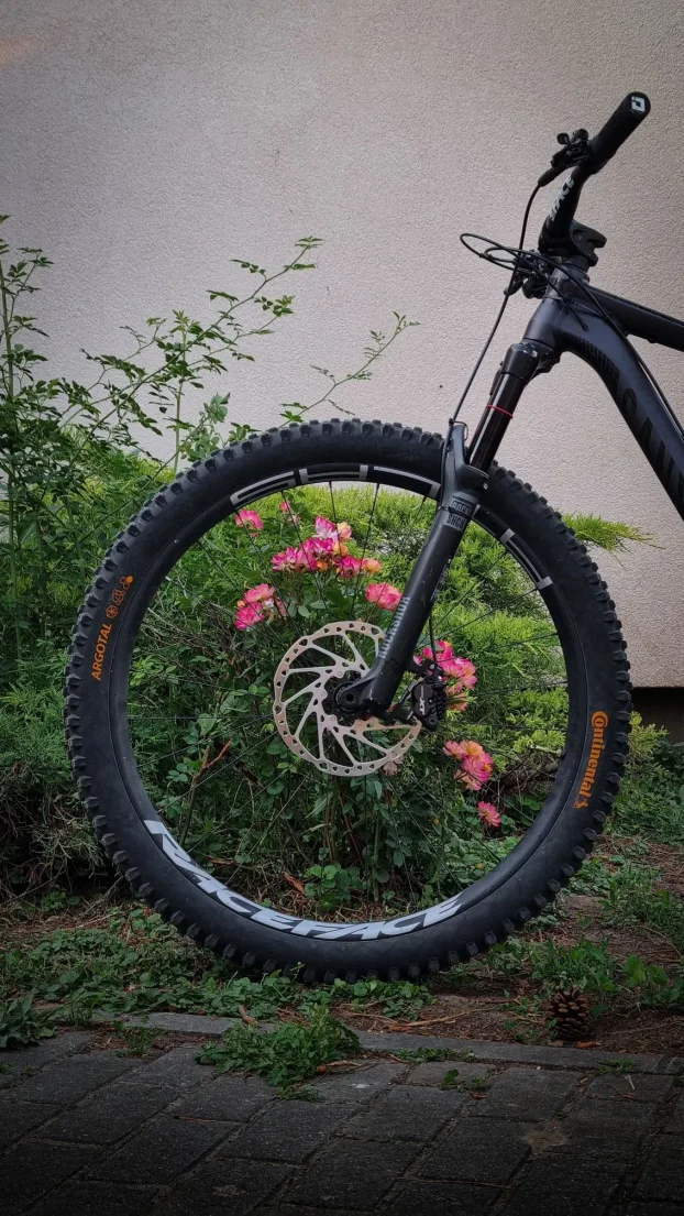 HITNO! Canyon Spectral AL, 29", DT swiss, Deore XT, Raceface ...