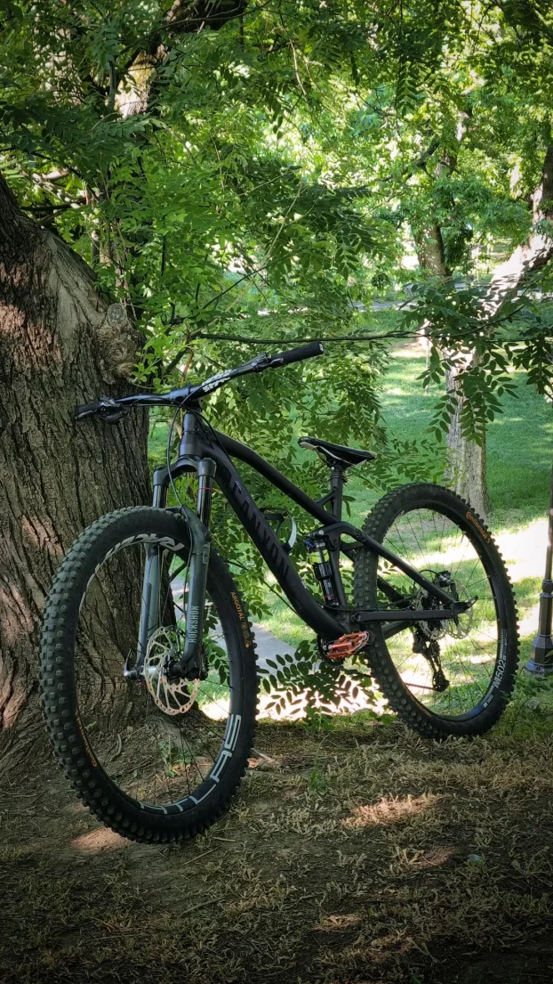 HITNO! Canyon Spectral AL, 29", DT swiss, Deore XT, Raceface ...