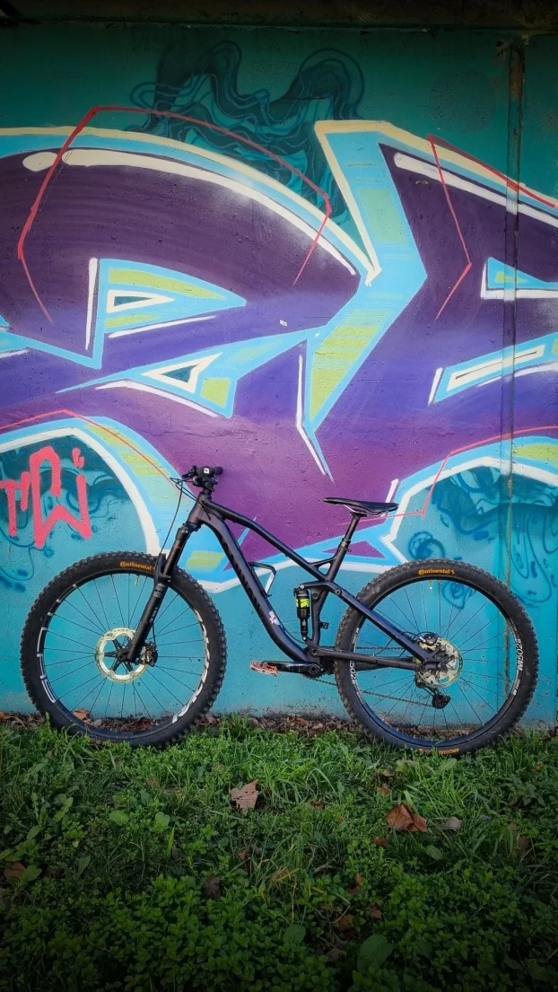 HITNO! Canyon Spectral AL, 29", DT swiss, Deore XT, Raceface ...