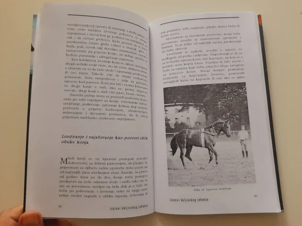 Izazovi daljinskog jahanja - Mirko Bešlin - KupujemProdajem