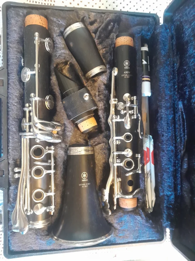 gitara akusticna elektricna klarinet violina - KupujemProdajem