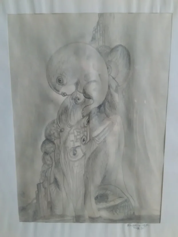 crtež olovkom - embrio vrh - autor Tica 1991 god - KupujemProdajem