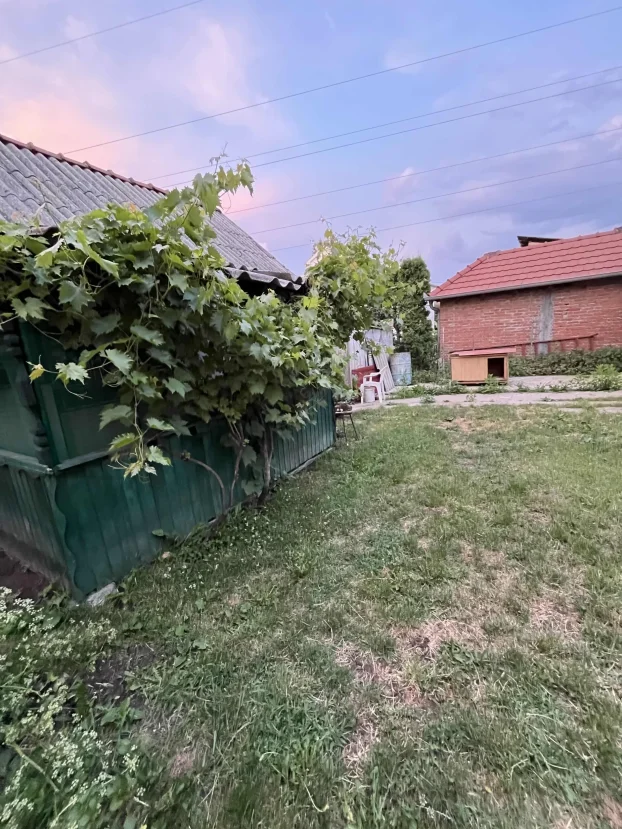 Čuvam pse(Kragujevac)600 din po danu - KupujemProdajem