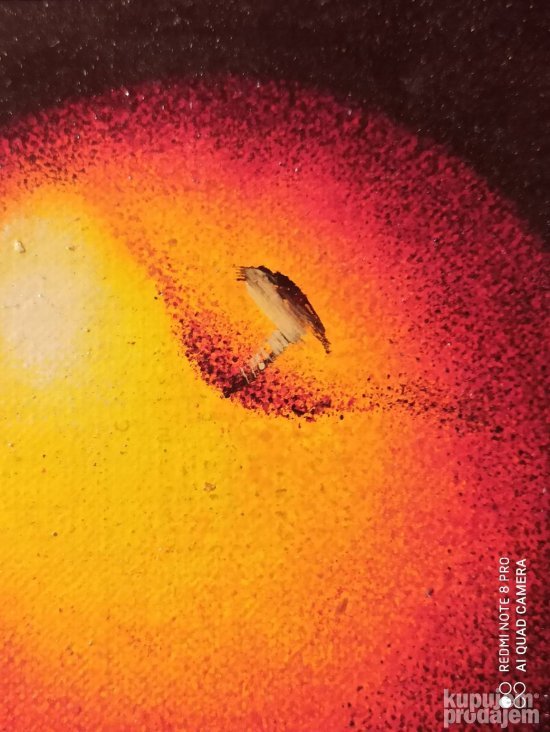 Tasić Gradimir,ulje na platnu - KupujemProdajem