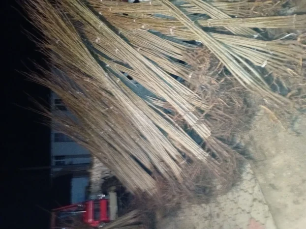 Sadnice voca razne sorte - KupujemProdajem