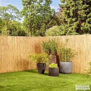 Trska - Rezultati pretrage - KupujemProdajem