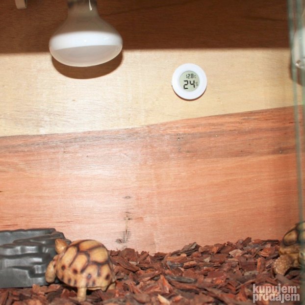 Termometar Vlagomer digitalni merac temperature i vlaznosti ...