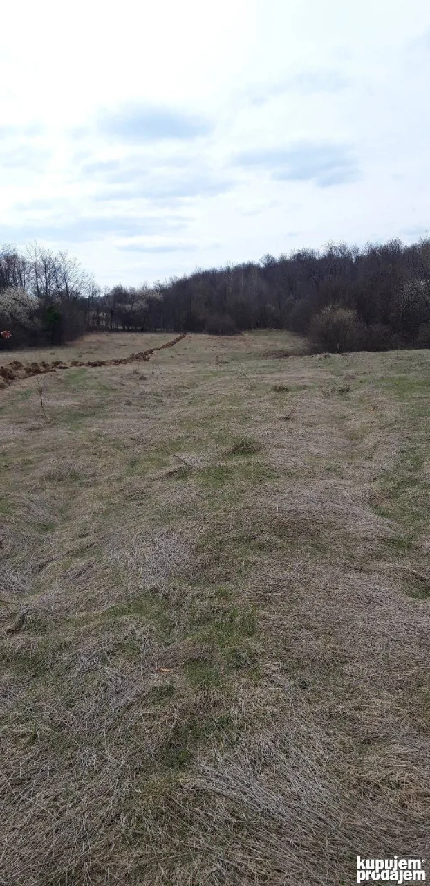 Prodajem placeve na Ravnoj Gori - KupujemProdajem