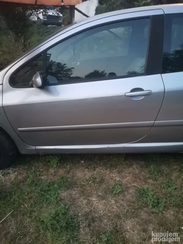 Pežo 307 prednja leva vrata - KupujemProdajem