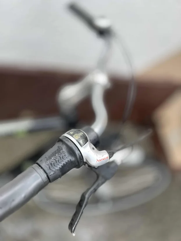 Bicikl Muski BBF 28" Shimano Nexus - KupujemProdajem