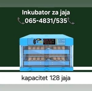 Inkubatori - Rezultati pretrage - KupujemProdajem
