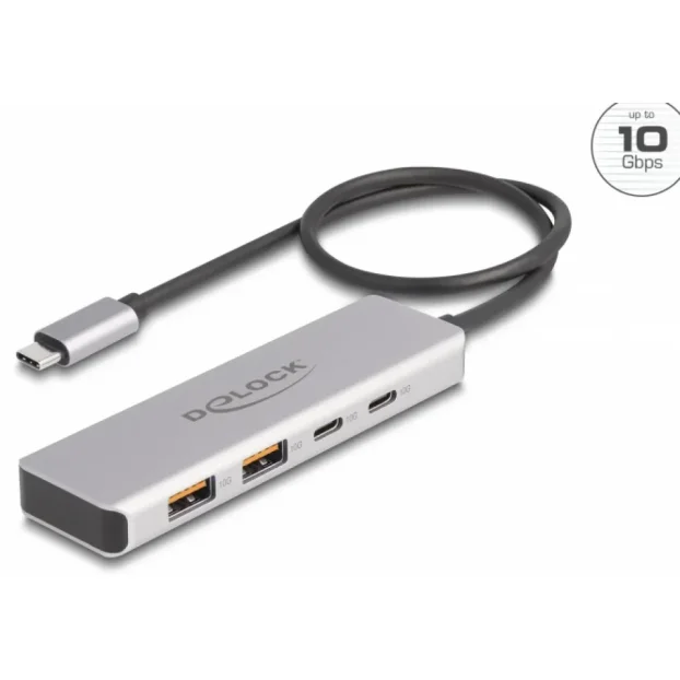 DELOCK USB 10 Gbps USB Type C hub 2 x A type USB plug and 2 ...