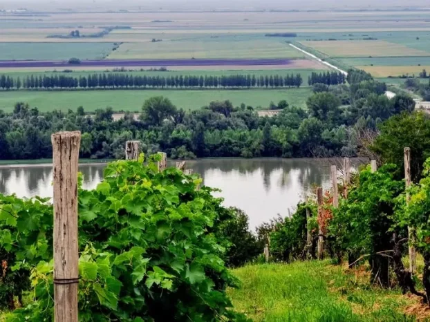 Plac i zemljište na prodaju - SMEDEREVO ( JUGOVO ), na samo pola sata ...