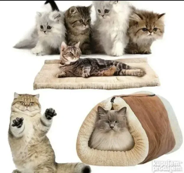 Kućica za mace 2u1 Krevet za macke - Novo -Akcija - KupujemProdajem