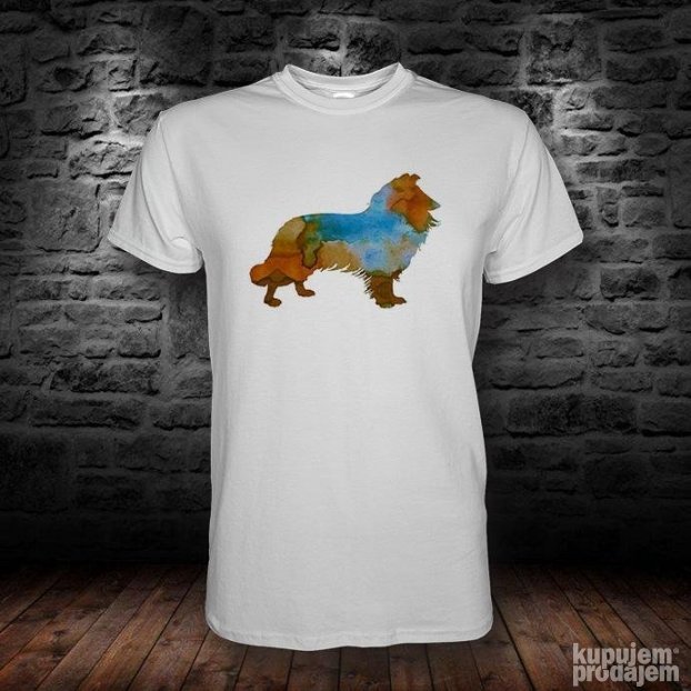 Collie Dog - Koli pas - KupujemProdajem