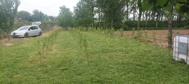 Ruma, Klenak, 1.0 jednosobna, 24 m² - KupujemProdajem