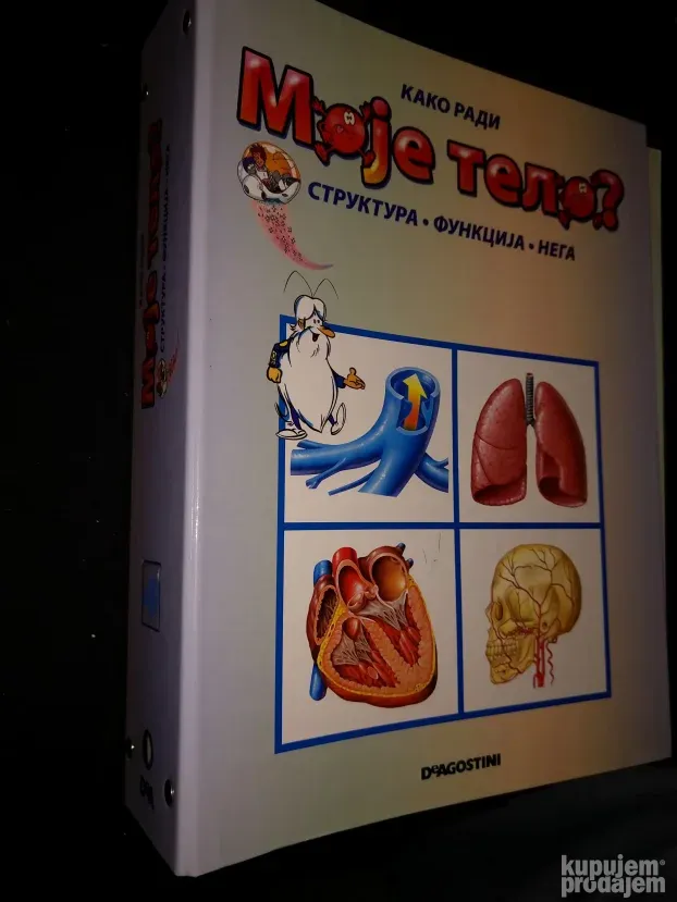 Kako radi moje telo? Struktura - funkcija - nega - KupujemProdajem