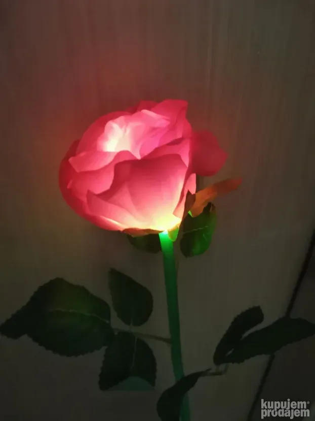 solarna ruza - KupujemProdajem