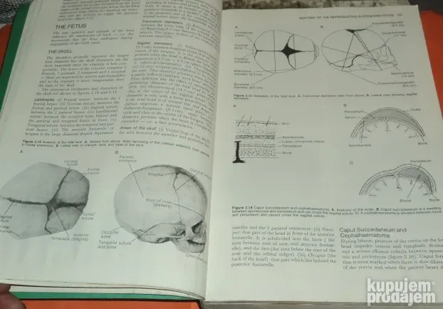 Obstetrics and the newborn Beicher Mackay - KupujemProdajem
