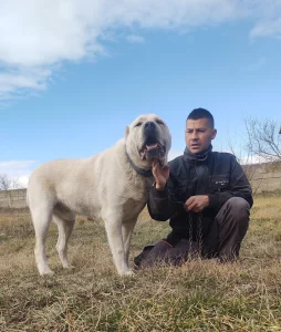 Azijat - Rezultati pretrage - KupujemProdajem