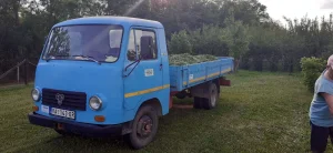 Tamic - Rezultati pretrage - KupujemProdajem