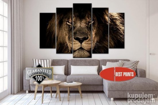 Murali Slike Lav,životinje, DYRA Dimenzija po želji - KupujemProdajem