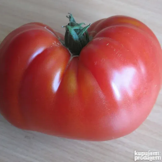 Paradajz moravac domaći organski netretirano seme - KupujemProdajem