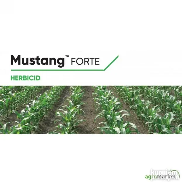 Mustang forte - KupujemProdajem