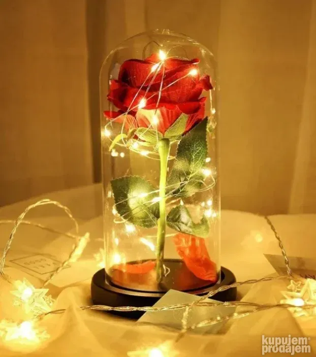 Vecna Ruza U Staklenom Zvonu Svetleca Ruža Lepotica i Zver ...