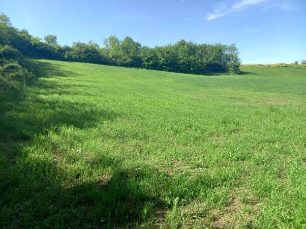 Plac i zemljište na prodaju - Plac u Ameriću - KupujemProdajem