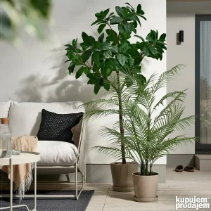 IKEA vestacka biljka palma areka visina 120cm - KupujemProdajem