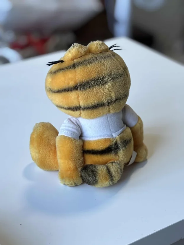 Garfield Don’t Ask - Vintage plišana igračka (1981) - KupujemProdajem