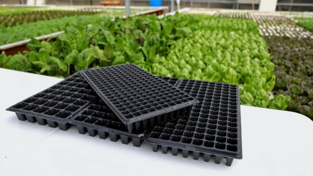 Kontejneri za rasad - KupujemProdajem