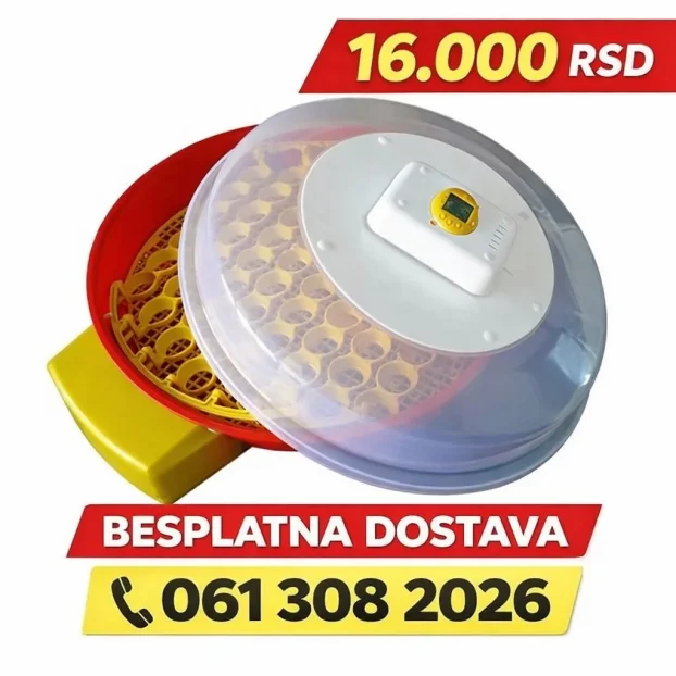 Puisor X2 Automatski Inkubator 51 Jaje Besplatna Dostava - KupujemProdajem
