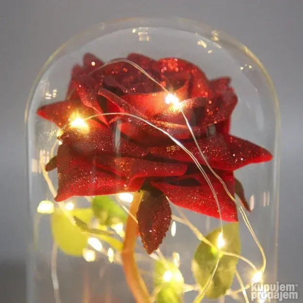 Vecna Ruza u staklu sa LED lampicama svetleca ruža - KupujemProdajem