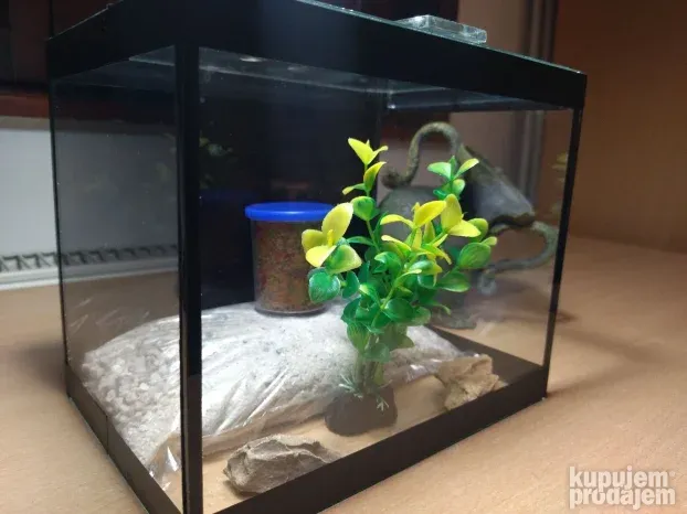 Akvarijum - KupujemProdajem