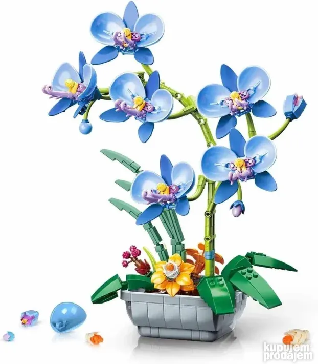 set orhideja plava sa saksijom 584 dela - KupujemProdajem